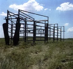 W-W Livestock Systems Longhorn Cattle Control Chute, Built W-W STRONG